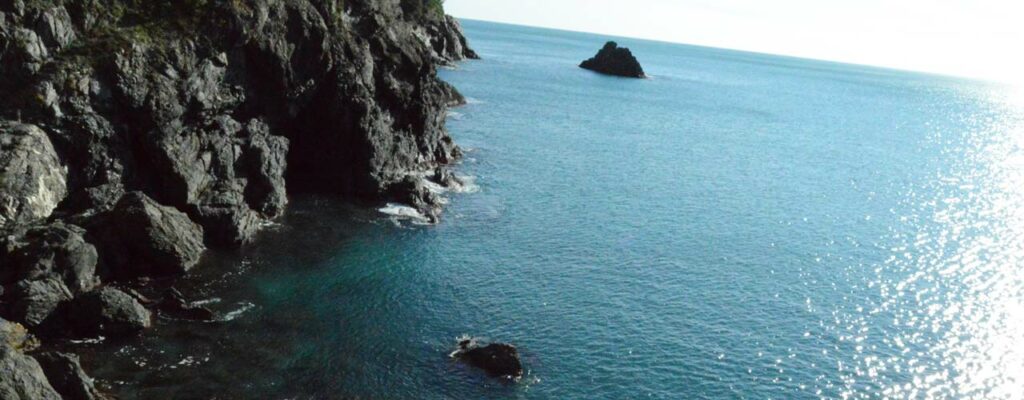 De la acta de la asamblea de Olatua – Olatua